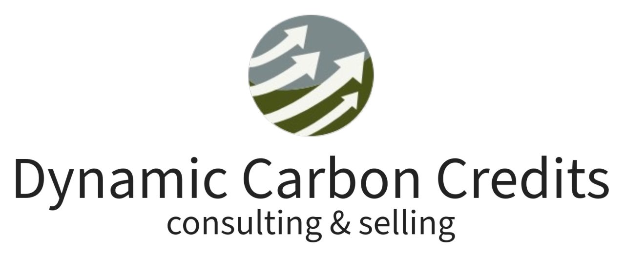 Dynamic Carbon Credits - High Quality Carbon Offset Credits