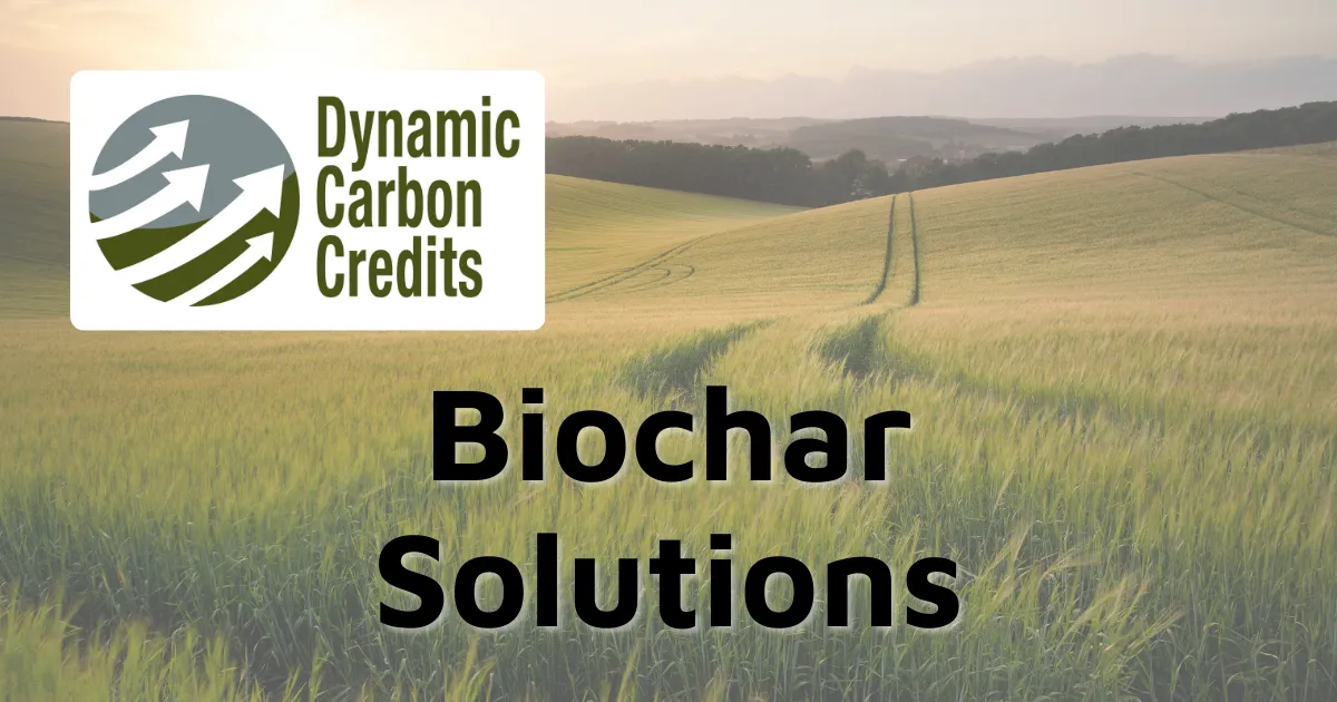 Wholesale Biochar Solutions for Industrial/Agricultural Use